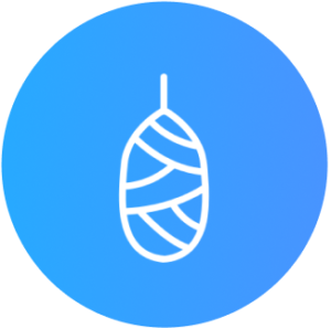 Home - Serigen Mediproducts Private Limited